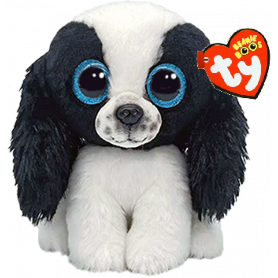 Ty Beanie Boos Sissy - Black/White Dog Reg | Mr Toys Toyworld